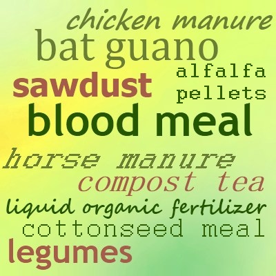 10 Best High Nitrogen Natural Fertilizers - choose yours here